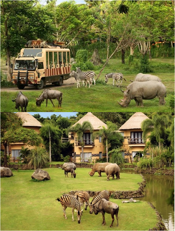 BALI SAFARI & MARINE PARK
