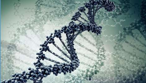 Our Parkinson's Place: Gene variant explains differences in diabetes ...