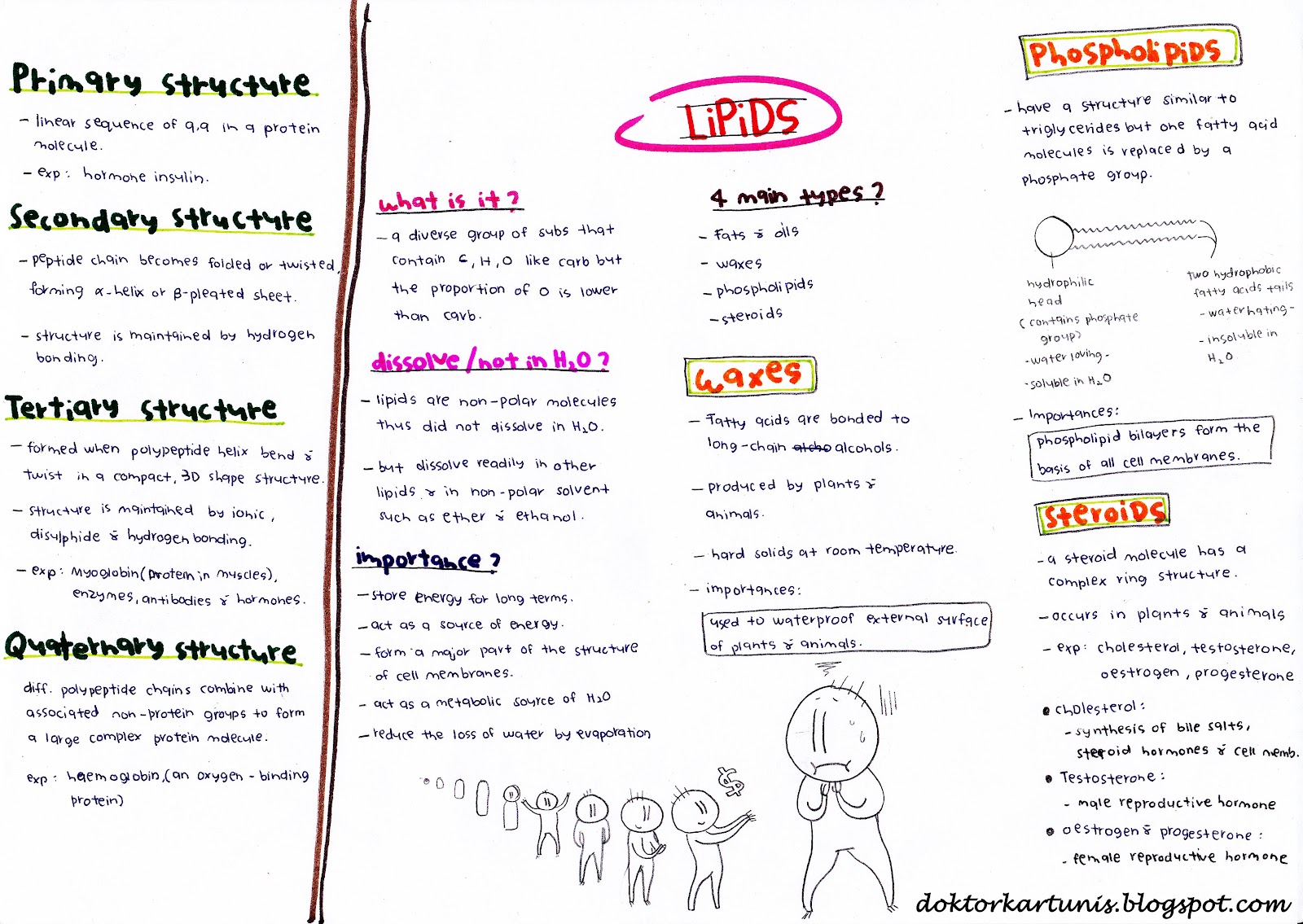 Koleksi Nota SPM: Biology SPM Notes (in English)