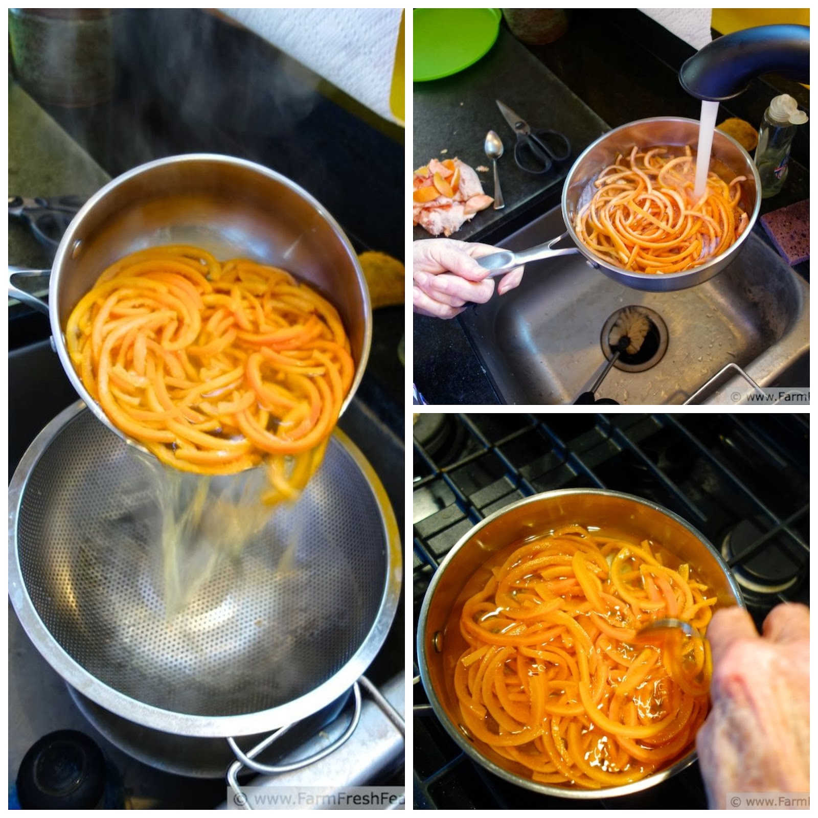 Farm Fresh Feasts: Candied Grapefruit Peel