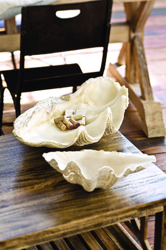 Everything Coastal....: 12 Inspired Clam Shell Ideas