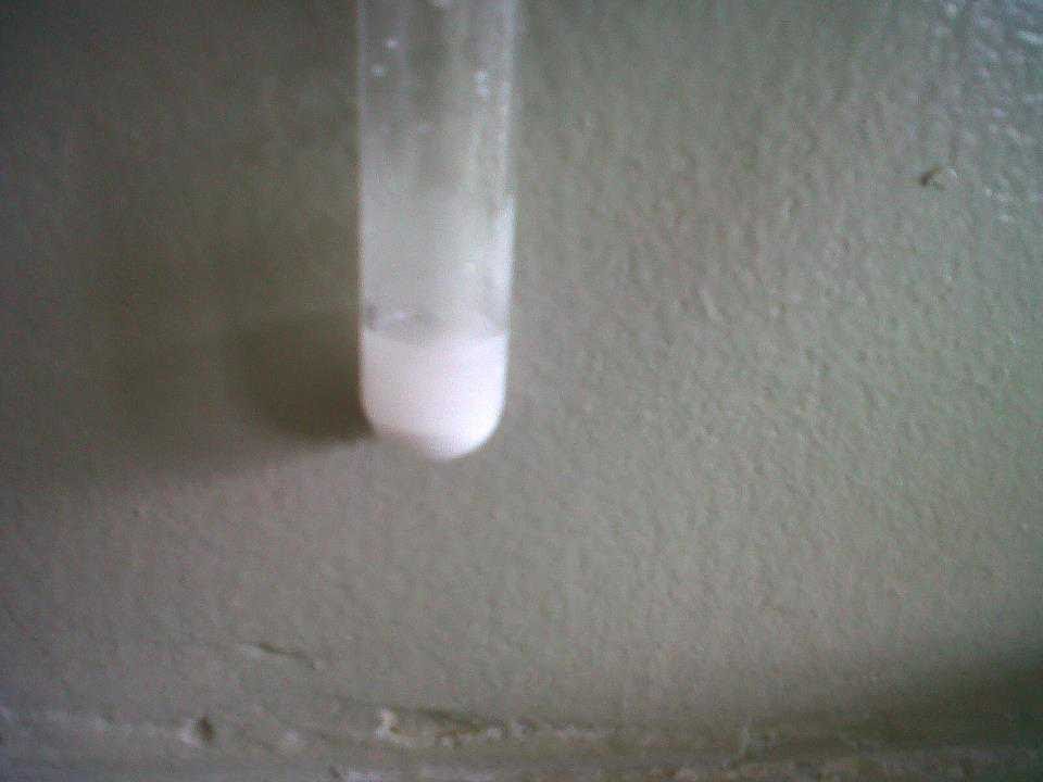 Laporan Akhir Praktikum: Laporan Praktikum Analisis Kualitatif dan ...