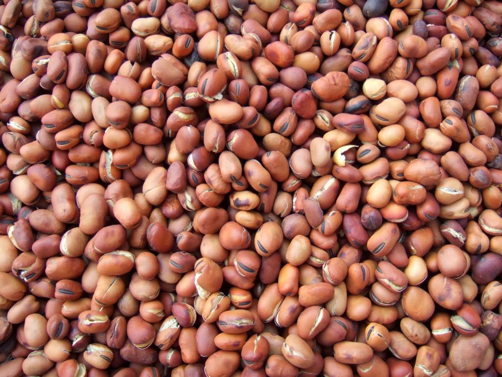 SUKHA: An Ancient City and Its Wooden Drum Tower - Daixian