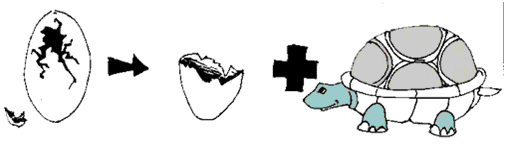 Celesta's Chemistry Website: Chemical Reactions