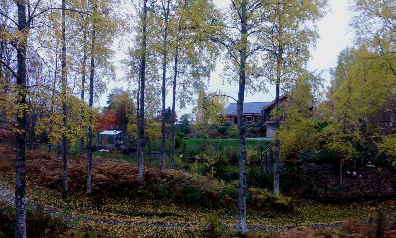 Alex and Bob`s Blue Sky Scotland: Loch Inch. Strathspey.