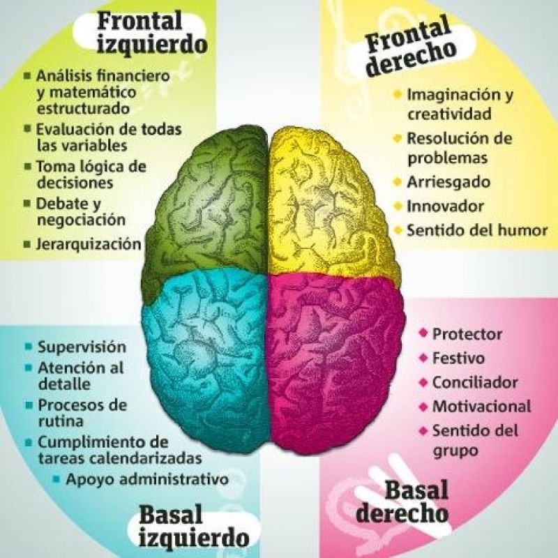 DESARROLLO DEL PENSAMIENTO DE LA INTELIGENCIA HUMANO