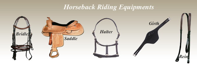 Horse Leather Equipment- SaddleryHub: Top 5 Horseback Riding Equipments ...