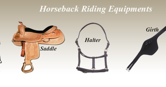Horse Leather Equipment- SaddleryHub: Top 5 Horseback Riding Equipments ...