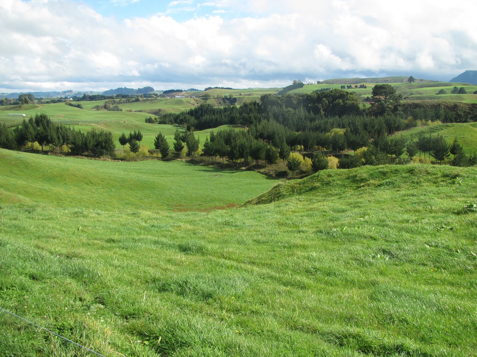 Pasture to Profit: "Manawhenua" the value placed upon land within the ...