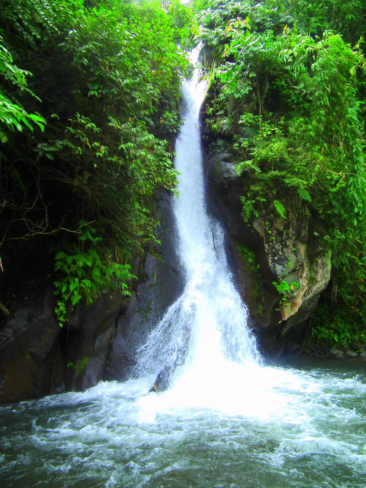 Trip ni DorangExplorer: Bacolod - Nature Trip at Negros Occidental
