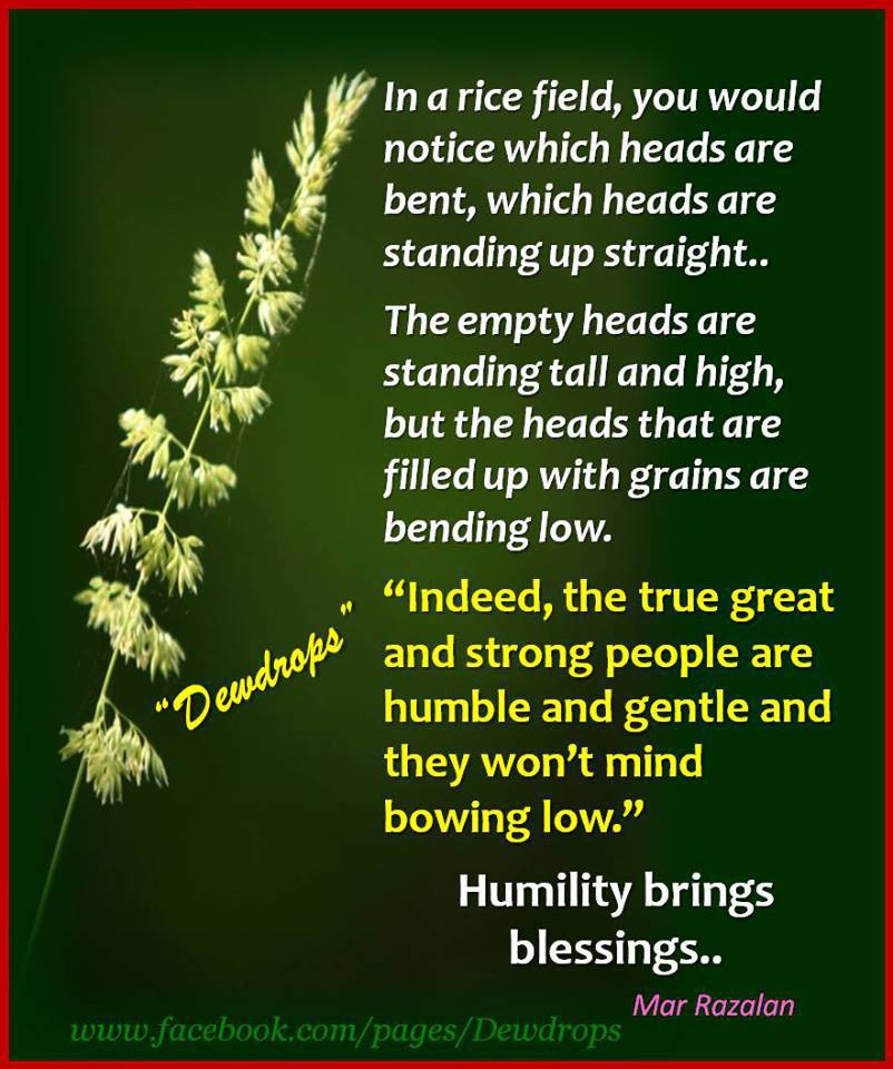 The True great and Strong people are humble and gentle and they won't ...