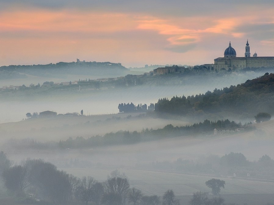 Come si Forma la Nebbia? Quali Effetti ha sulle Piante? | Il Gusto ...