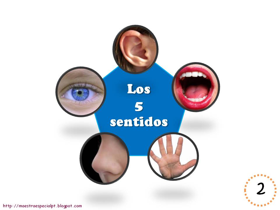 Los 5 Sentidos: abril 2013