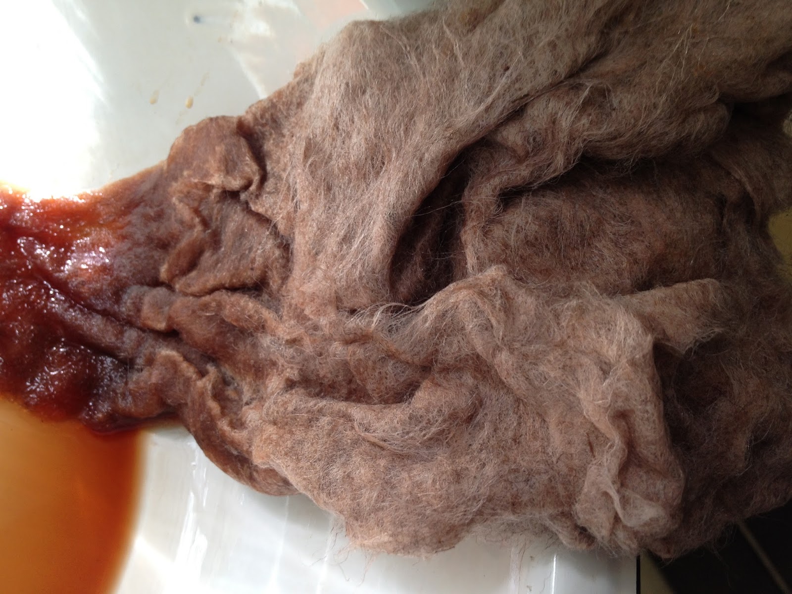 The Inconsequential Blogger: Dyeing with apple tree leaves and bark