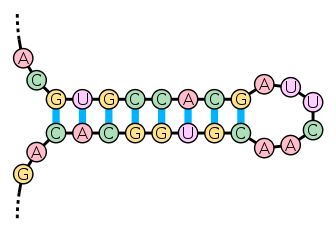 BIOLOGÍA MOLECULAR: ESTRUCTURA DEL ARN