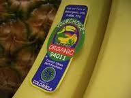 The Sensual Vegetable: PLU Codes for fruits and vegetables