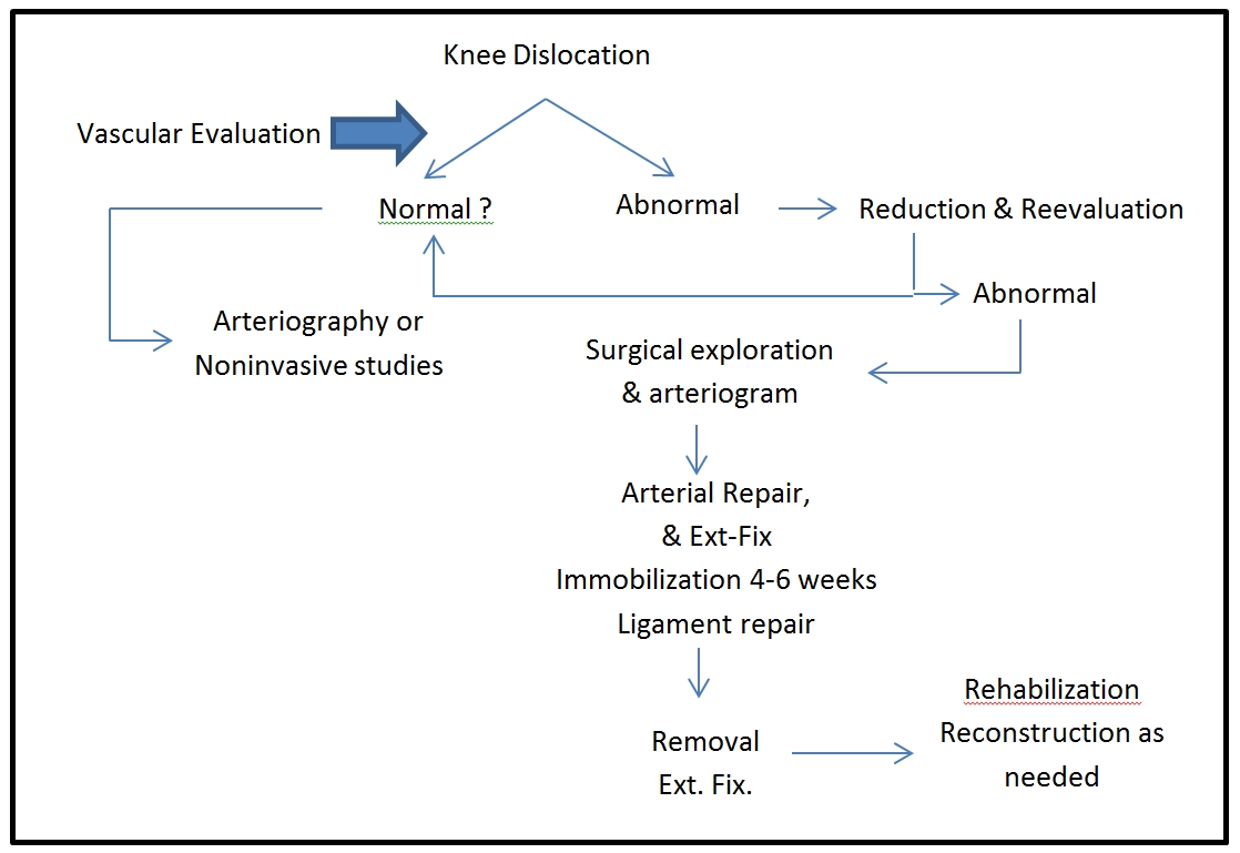Orthopaedi Knowledges: DISLOCATION OF THE KNEE JOINT