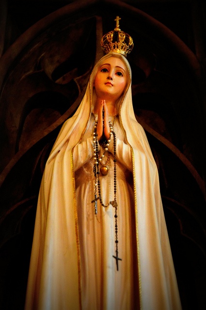 PERSEVERANÇA EM MARIA: Contemplando Maria