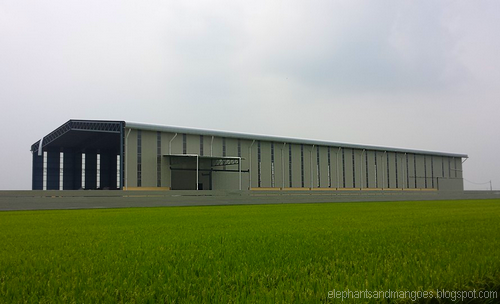 Sekinchan : Paddy Fields Of Green | Elephants & Mangoes