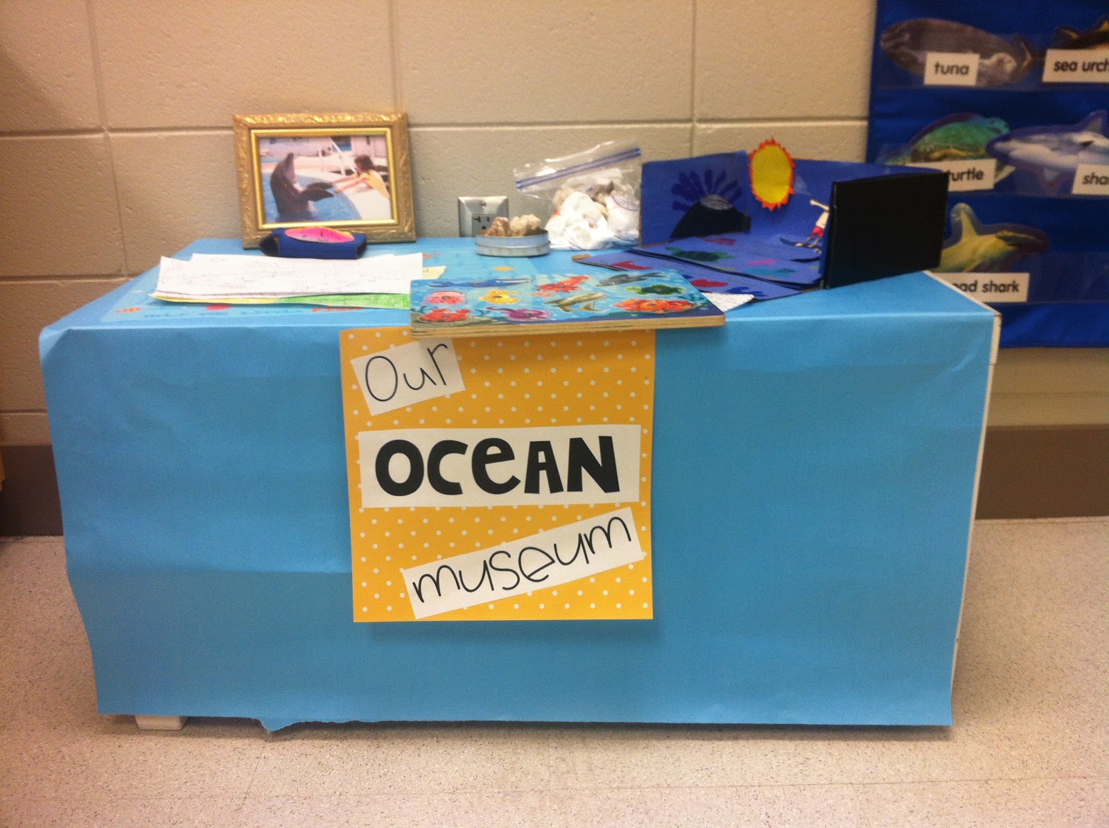 First Grader...at Last!: Marine Science Sea Lab