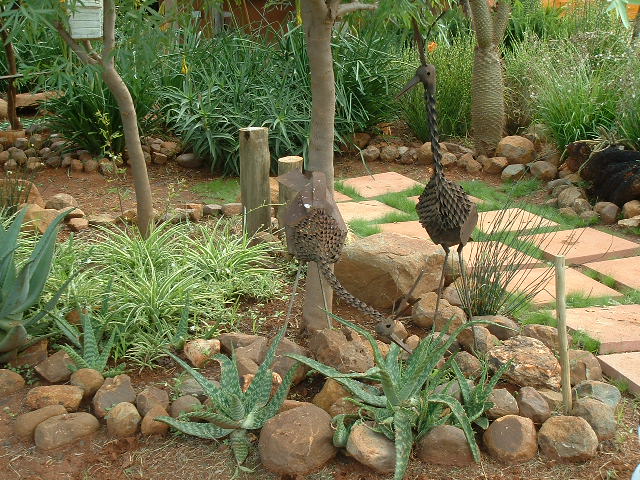 🌿 Tuinmaak in Suid Afrika 🌵: Eenvoudig en moeite vry