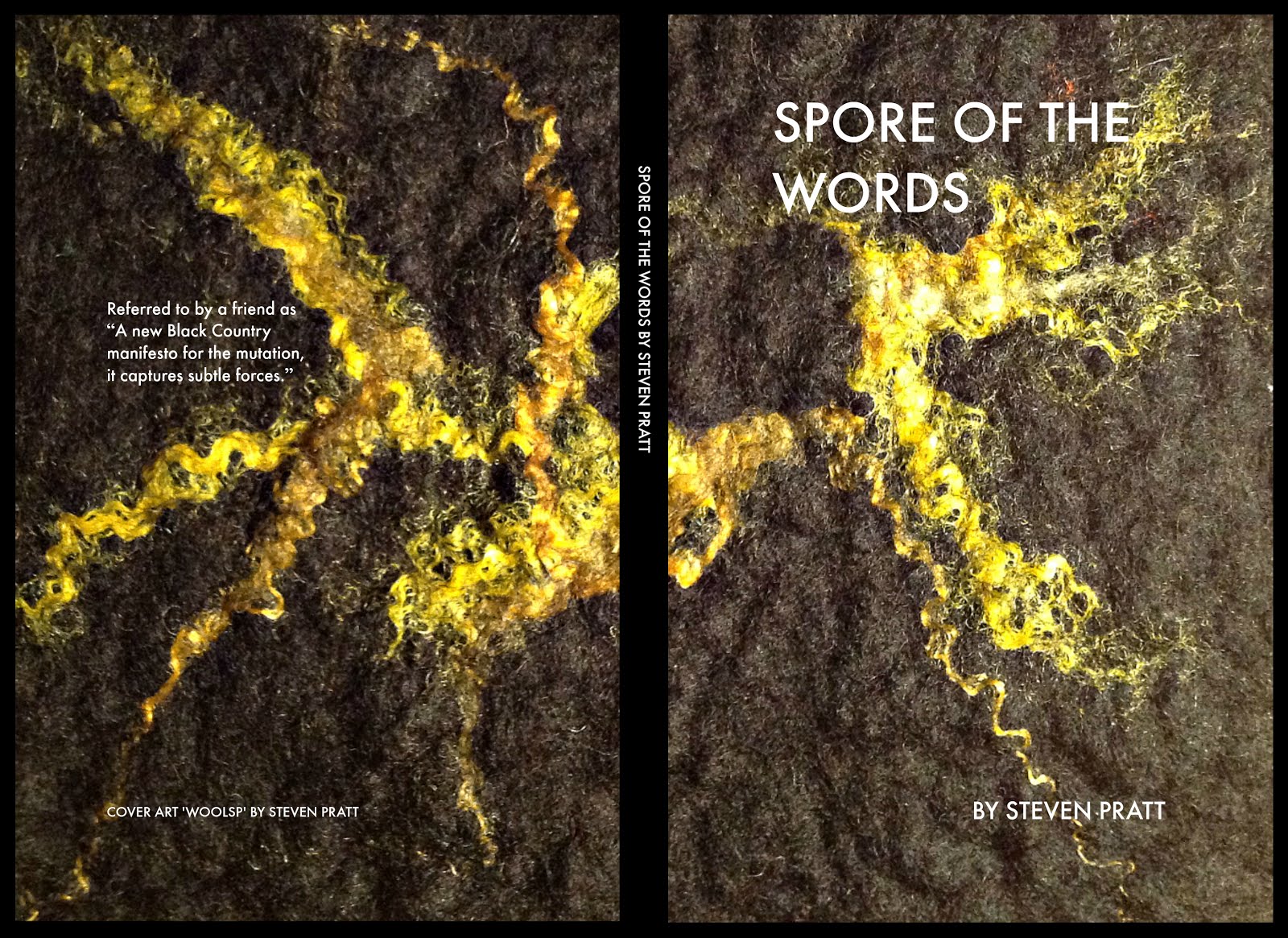 World Piss: The Spore Of The Words by Steve Fly