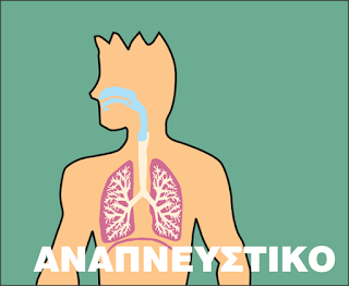 ΣΤ Δημοτικού Αριστοτέλειο: ΦΥΣΙΚΗ ΑΝΑΠΝΕΥΣΤΙΚΟ ΣΥΣΤΗΜΑ