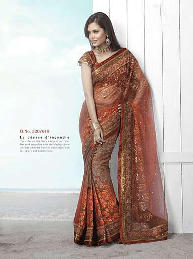 Silk Border and Transparent Saree Gallery | Indian Boutiques