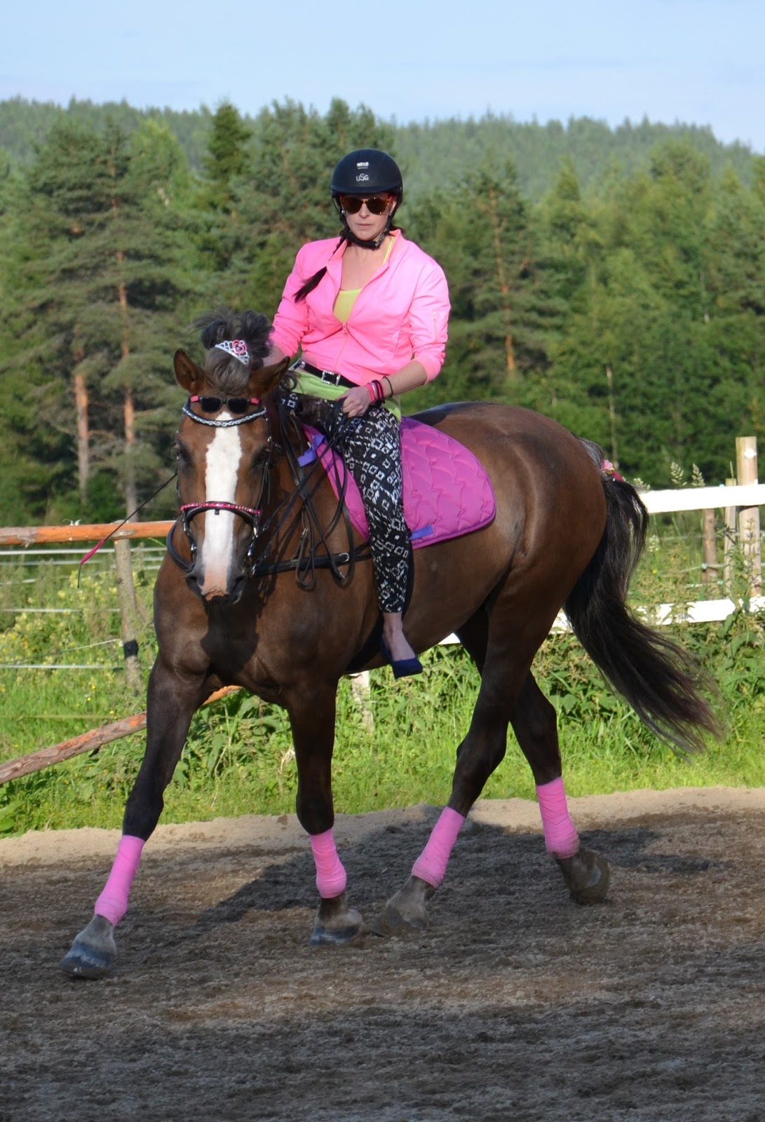 Luokki ja satula: Pissis ja Pimpula Pampula (Video)