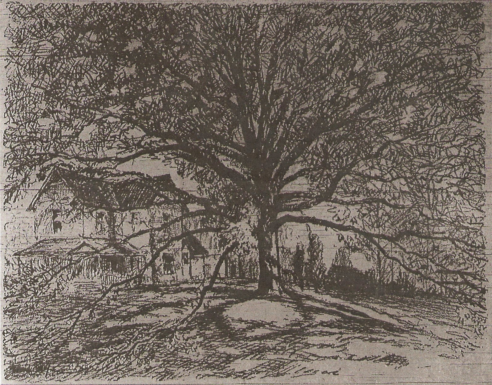 Vintage Irvington: The Kile Oak as Art