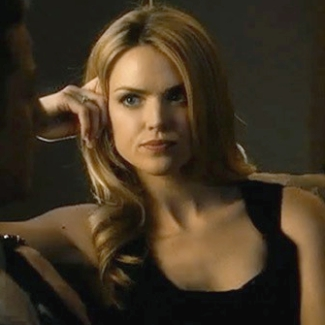 Countdown To Gotham: The Journey Begins ~ The Fangirl Initiative