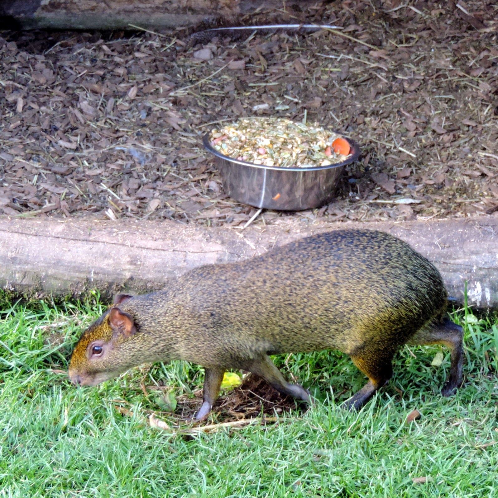 The Glebe Blog: 09/2014