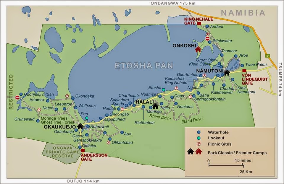 The Happy Cruisers Go to South Africa: Etosha National Park