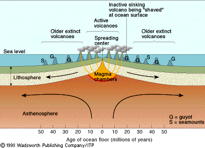 Fase Terbentuknya Guyot di Lautan - Guru Geografi