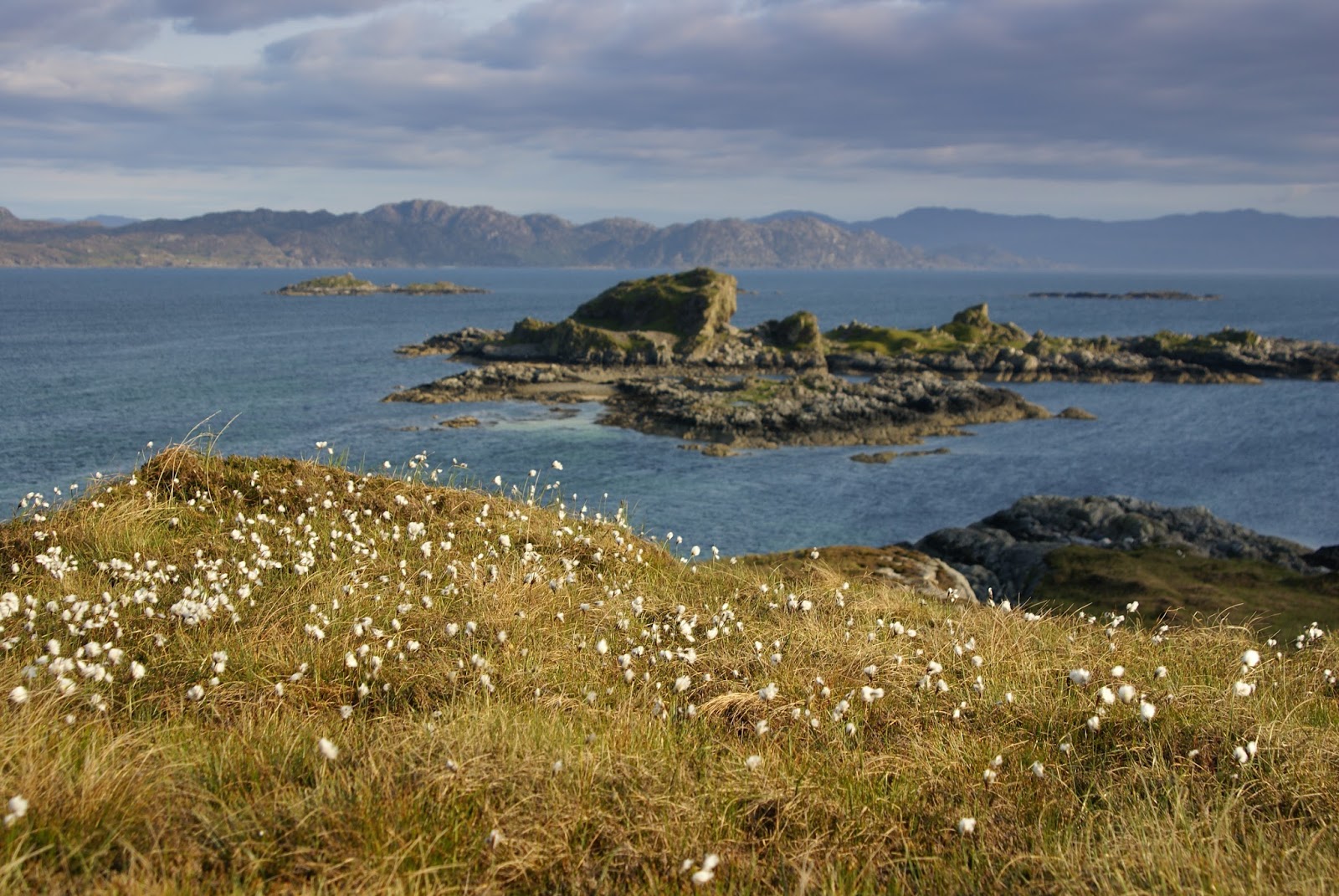 Mountain and Sea Scotland: Time well spent - an evening on the Sound of ...