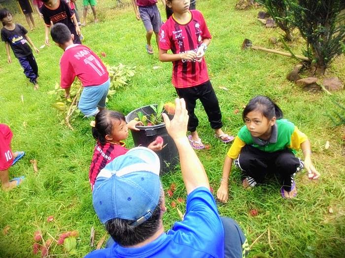 Gambar Riadah Petang Memetik Rambutan | SK Nanga Ju, Julau (YBB 6229)