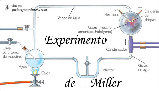 GOMEZ.Agua y Sociedad: Experimento de Miller y Urey