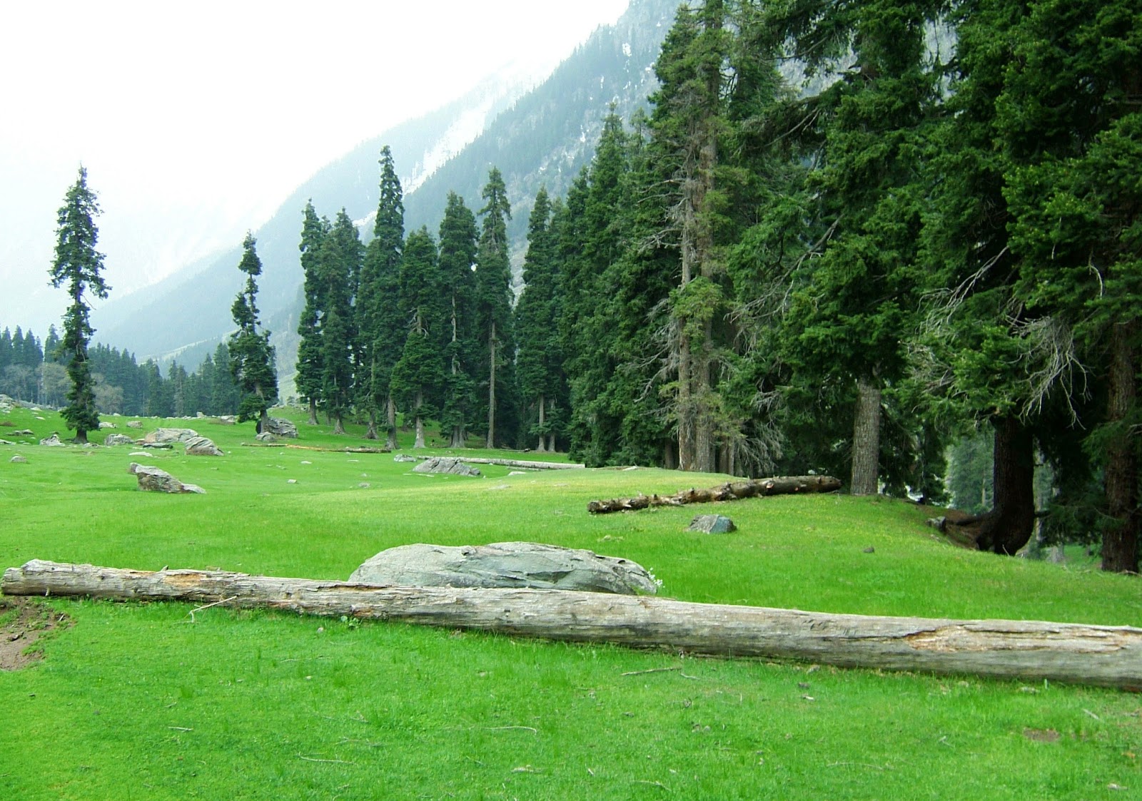Dawood: PAHALGAM