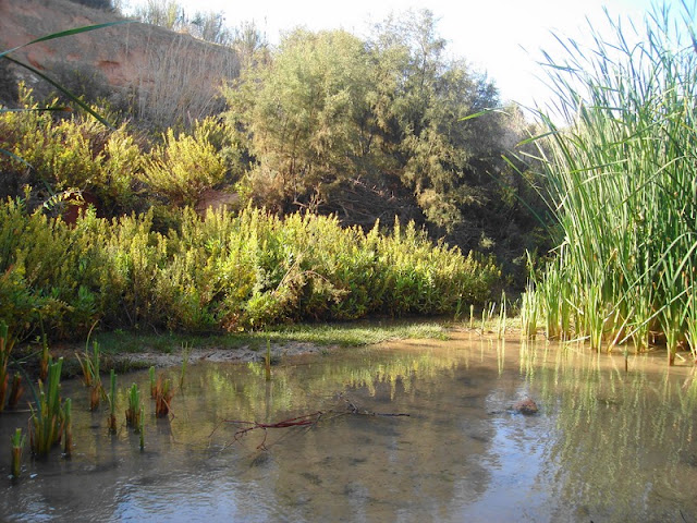 L'OUED AGHBALOU. MAROC.