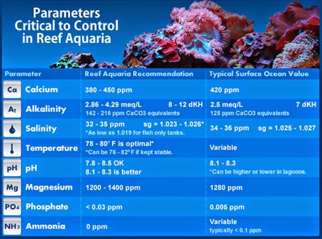 Tools Every Reef Tank Owner Should Keep in their Toolbox - Marine Depot ...