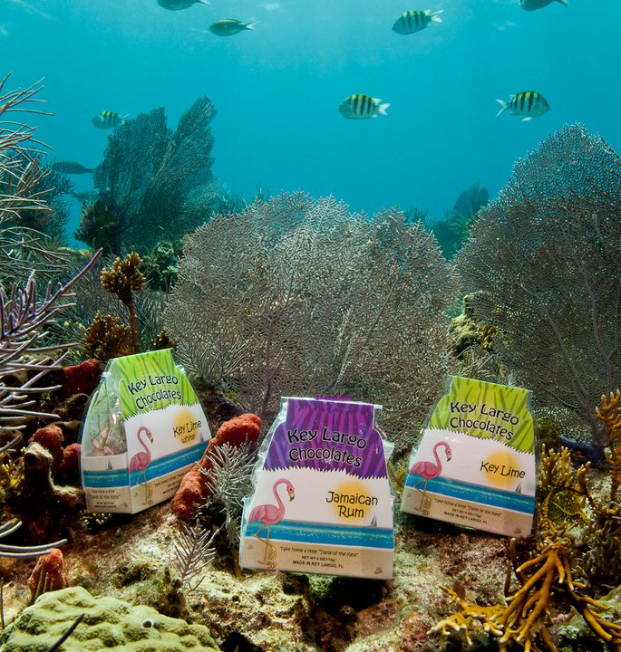 Florida Keys Charterboat Fishing, Islamorada Fishing Charters,Key Largo ...