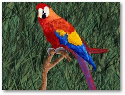 ROYAL BROTHERS ALAVAI: pics