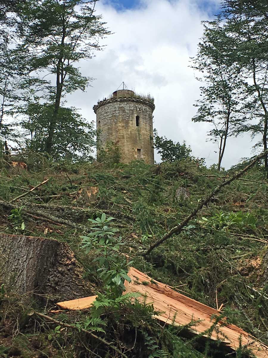 Frieda Oxenham: Panta rhei