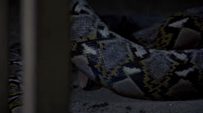 13: SSSSSSS! - "The Year Of The Snake" (1973)