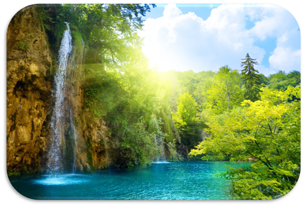 Aprender Más Sobre EL Medio Ambiente: Aprender Mas Sobre EL Medio Ambiente