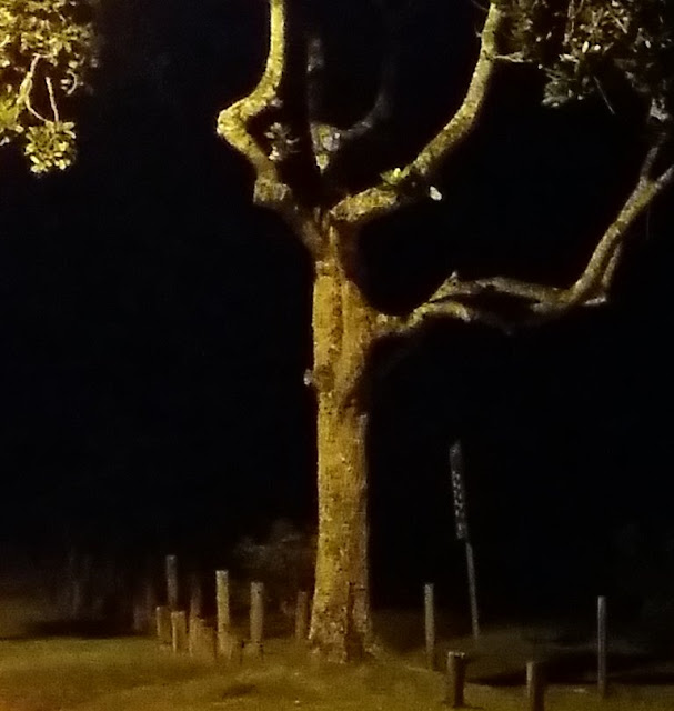 Samsung On7 – excelente em quase tudo! - IT Forum