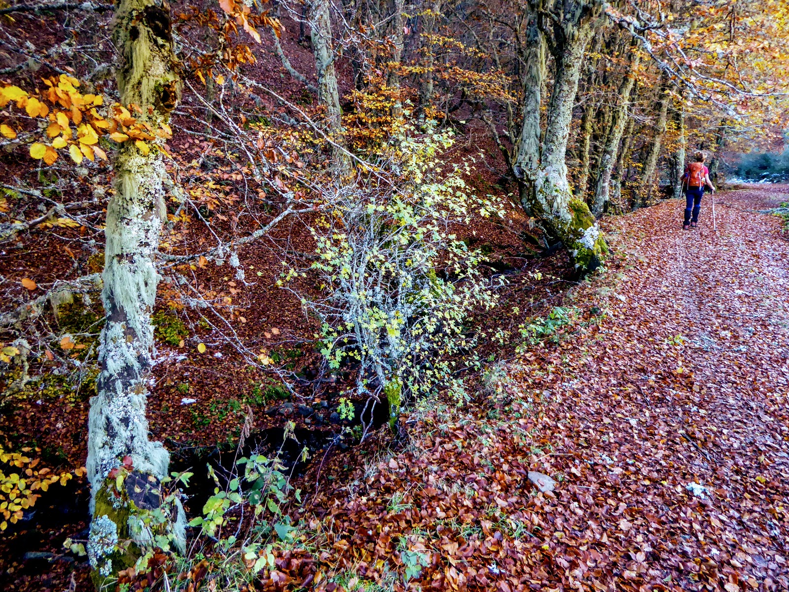 MONTAÑA LEONESA: Peña de la Carbajosa y Altos el Fito