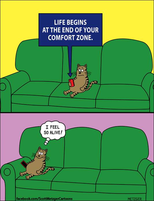 Linda's Peaceful Place: Friday Shares