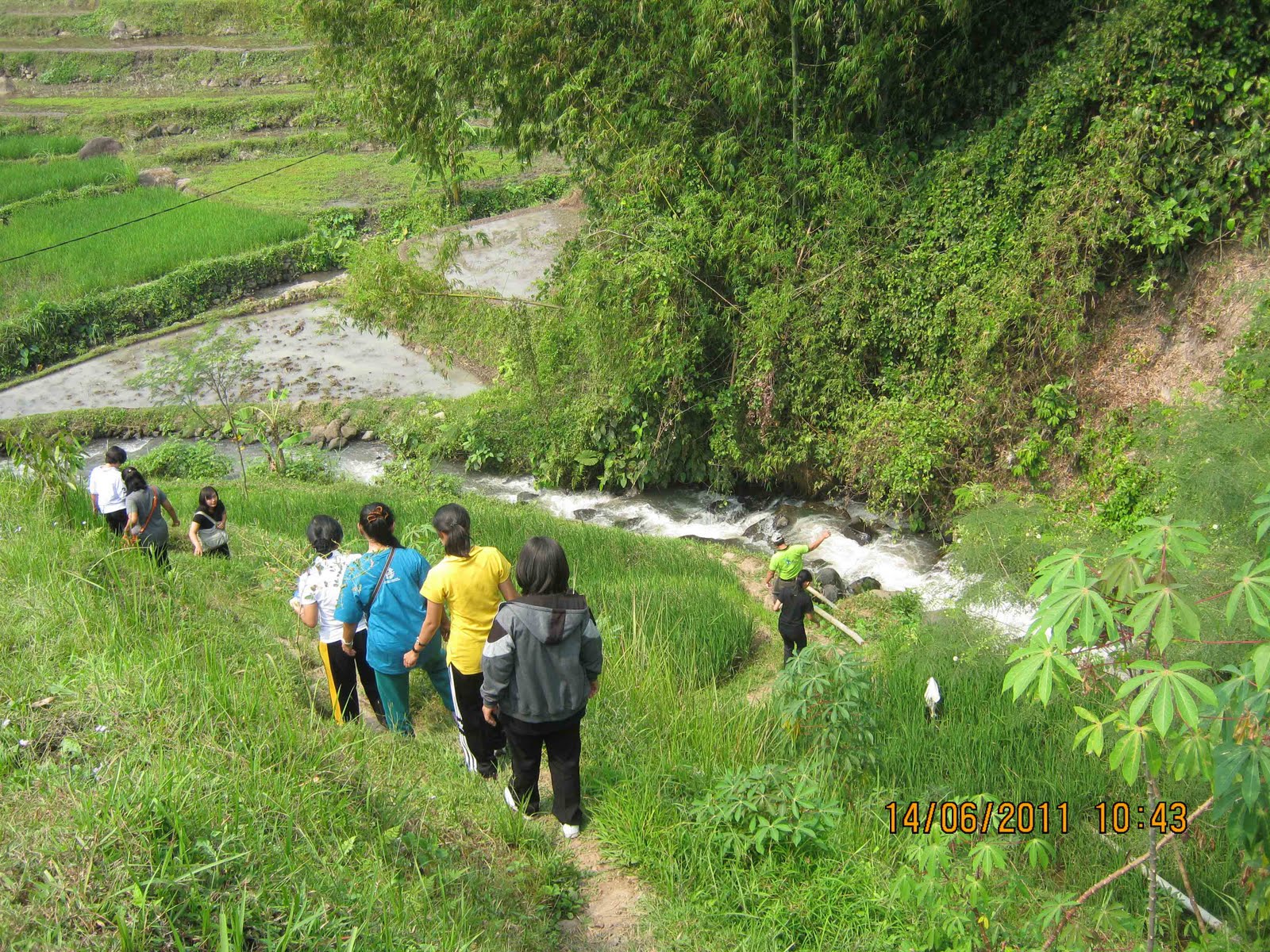 National Plus @ Mutiara Bunda School: Micro Hydro Fieldtrip – PPLH ...