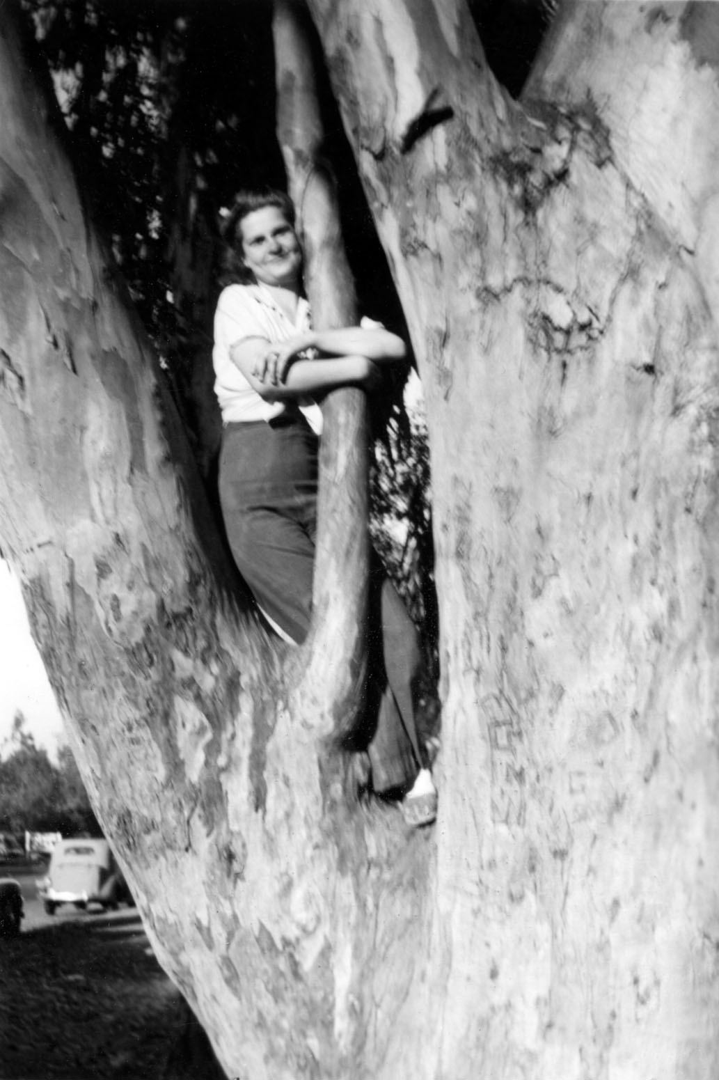 52 Vintage Snapshots Capture Young Women Jauntily Posing in Trees From ...